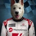 Red Ball Formula Racing Car F1 Driver Team Pet Portrait - Etsy