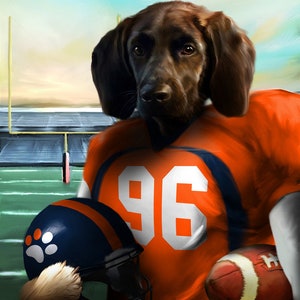 Dallas Football Team Pet Portrait American Football Fan Gift - Etsy