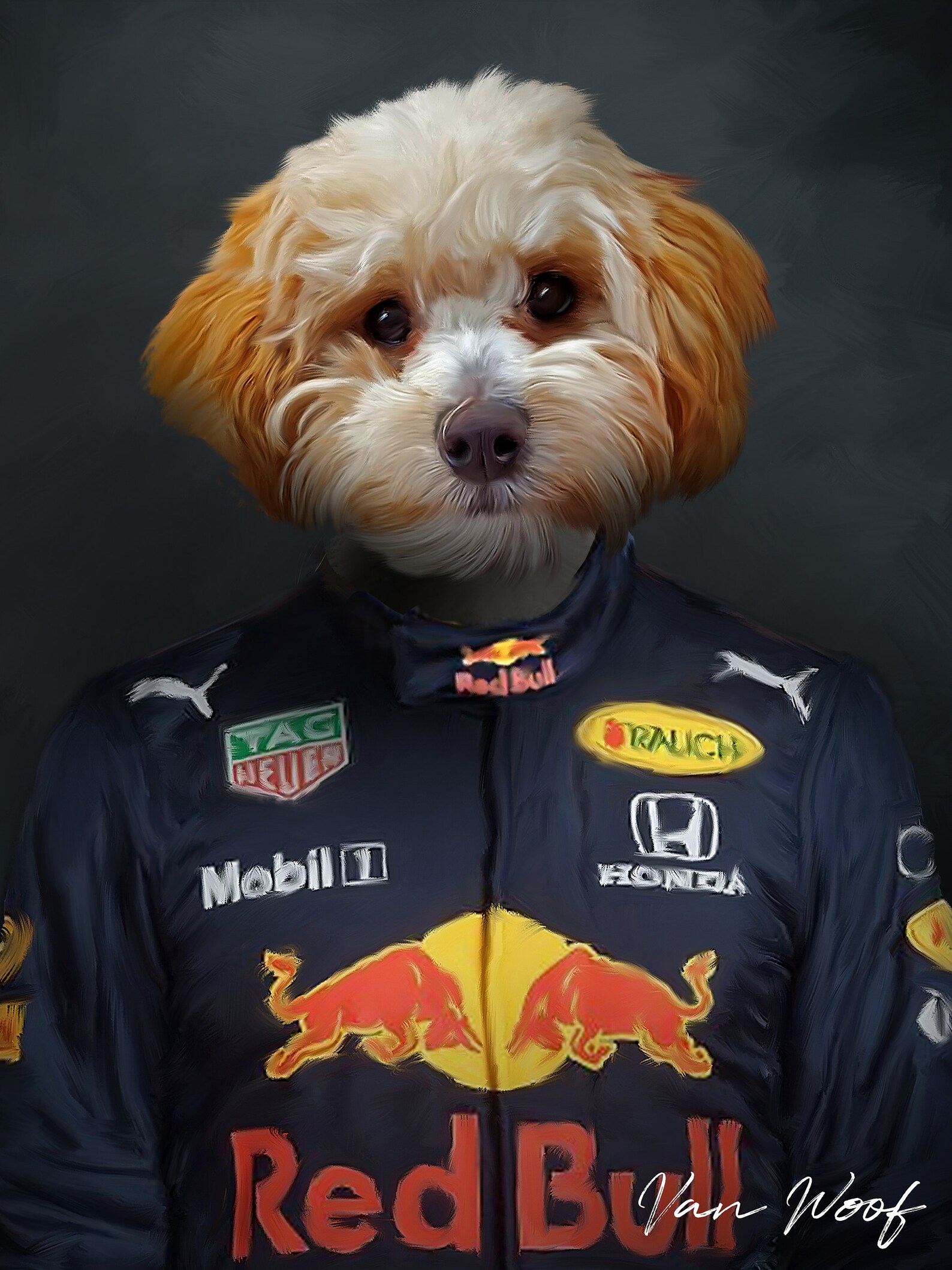 Red Ball Formula Racing Car F1 Driver Team Pet Portrait - Etsy