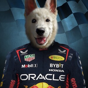 Red Ball, Formula Racing Car, F1 Driver Team Pet Portrait, Custom Dog ...