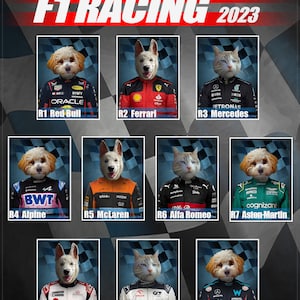 Red Ball, Formula Racing Car, F1 Driver Team Pet Portrait, Custom Dog ...