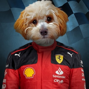 Red Ball, Formula Racing Car, F1 Driver Team Pet Portrait, Custom Dog ...
