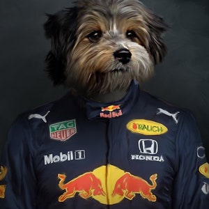 Red Ball Formula Racing Car F1 Driver Team Pet Portrait - Etsy