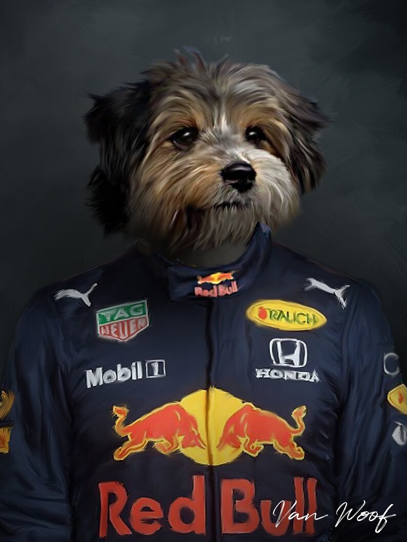 Red Ball Formula Racing Car F1 Driver Team Pet Portrait - Etsy