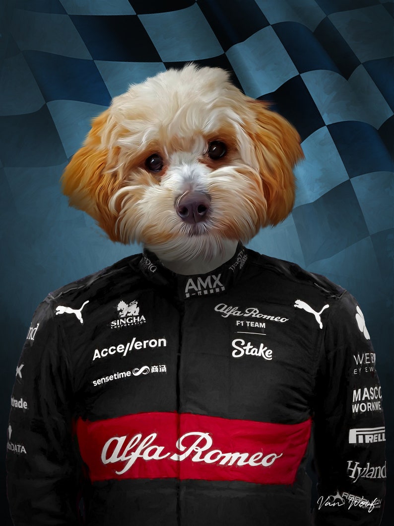 Mercydes, Formula Racing Car, Funny Pet Lover Gift, F1 Driver Team Pet ...