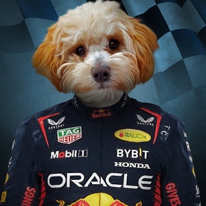 Red Ball, Formula Racing Car, F1 Driver Team Pet Portrait, Custom Dog ...
