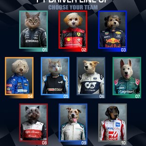 Red Ball Formula Racing Car F1 Driver Team Pet Portrait - Etsy