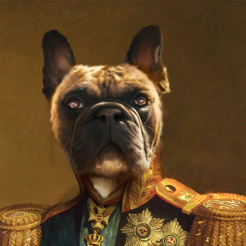 VanWoof - Etsy