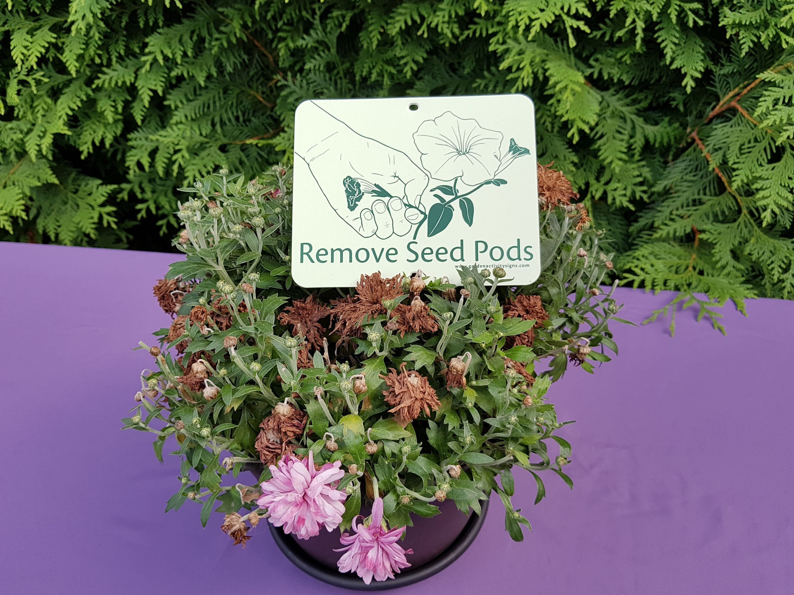Garden Care Signs: Set of 6 Attachable Signs to Prompt Hands-on ...