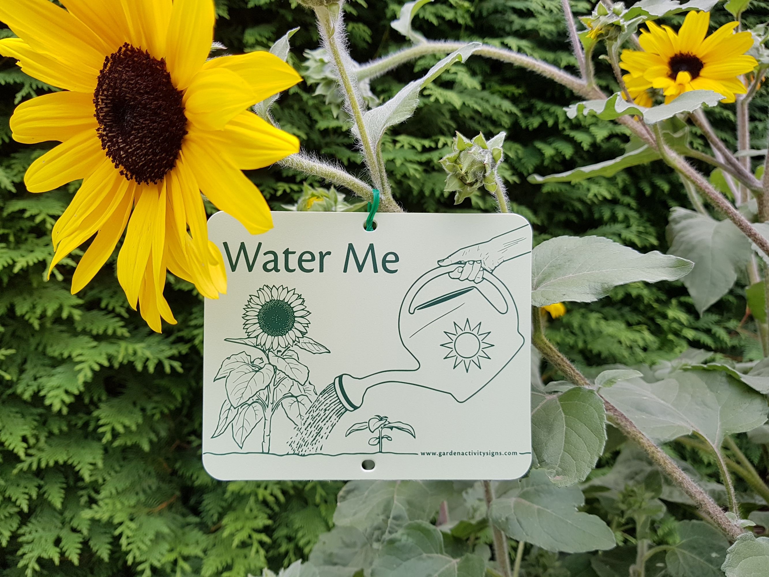 Garden Care Signs: Set of 6 Attachable Signs to Prompt Hands-on ...