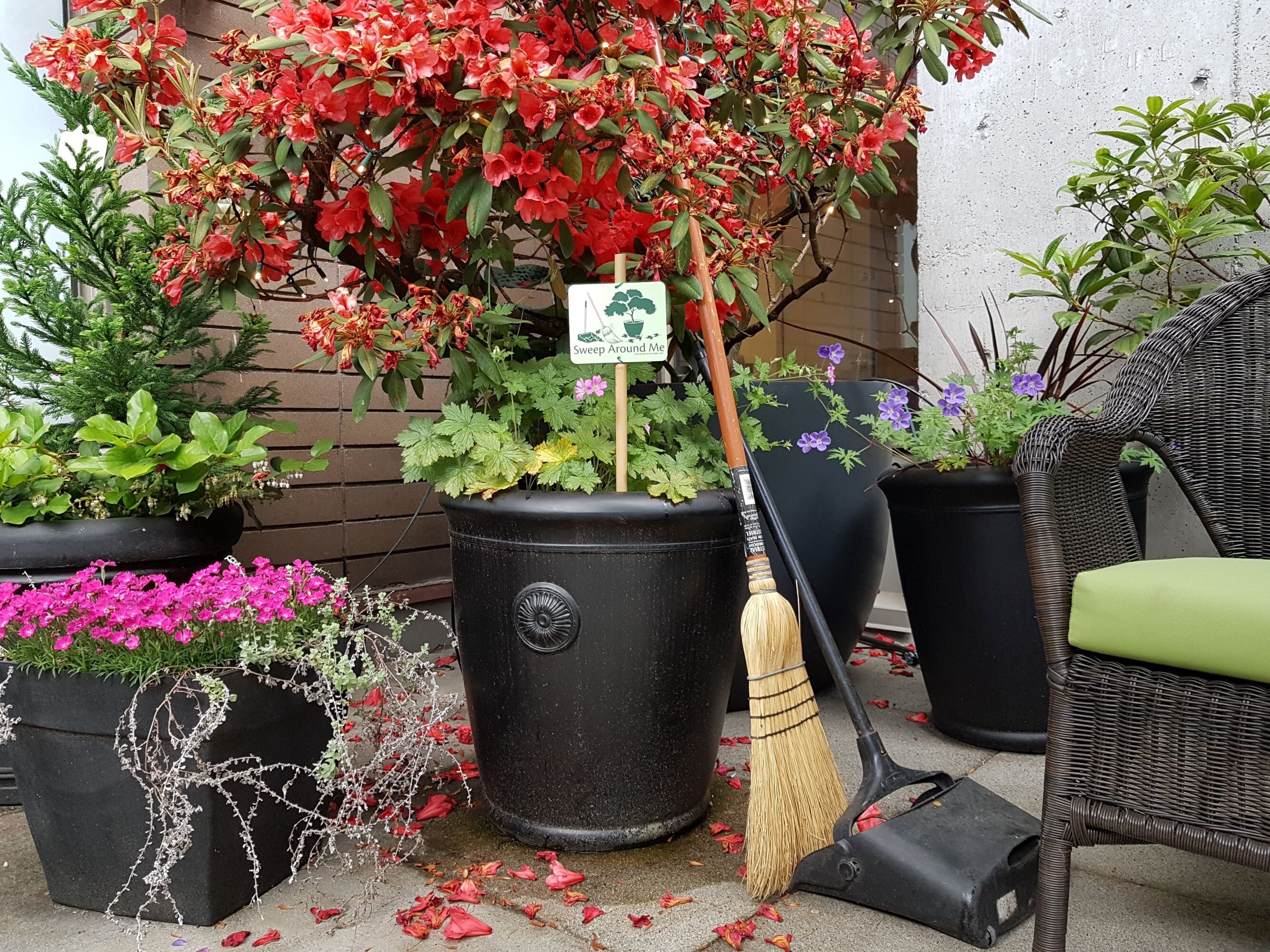 Garden Care Signs: Set of 6 Attachable Signs to Prompt Hands-on ...