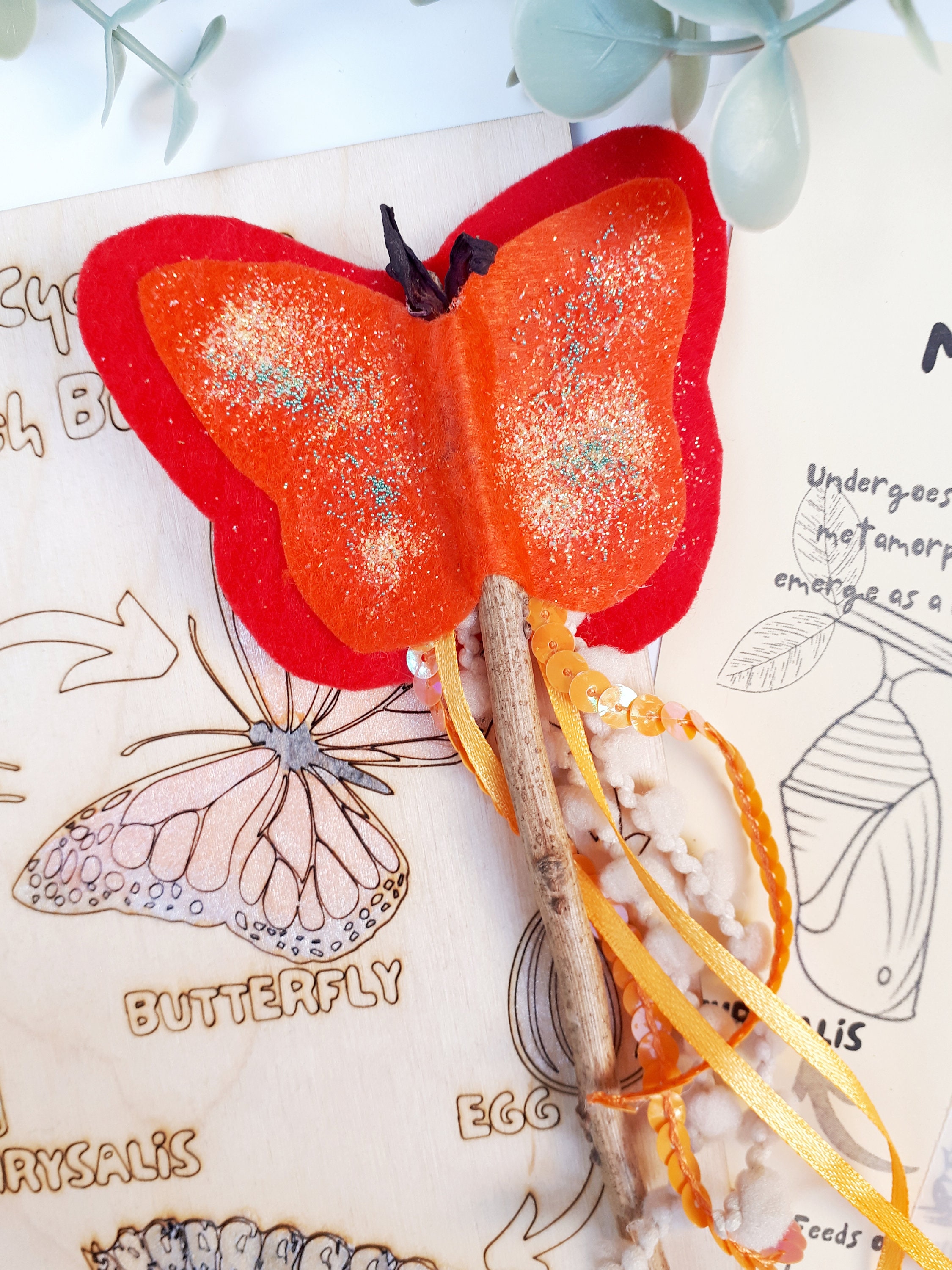 Monarch Butterfly Life Cycle With Magic Butterfly Wand Educational Kit ...