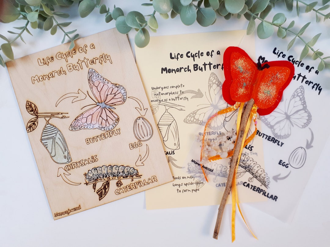 Monarch Butterfly Life Cycle With Magic Butterfly Wand Educational Kit ...