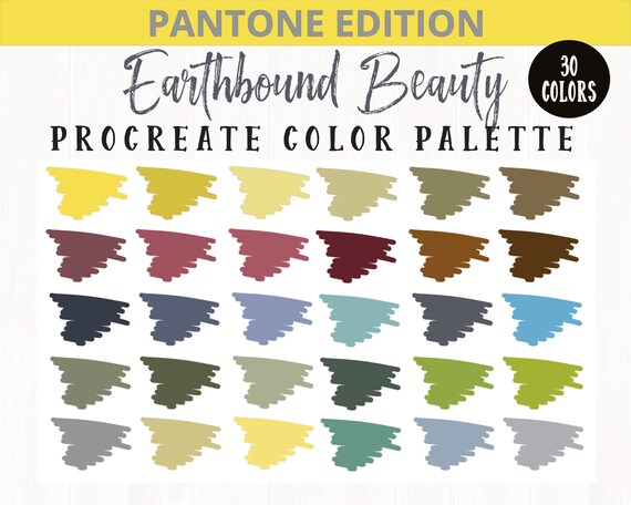 Procreate Color Palette / Earthbound Beauty: 30 Colors / | Etsy