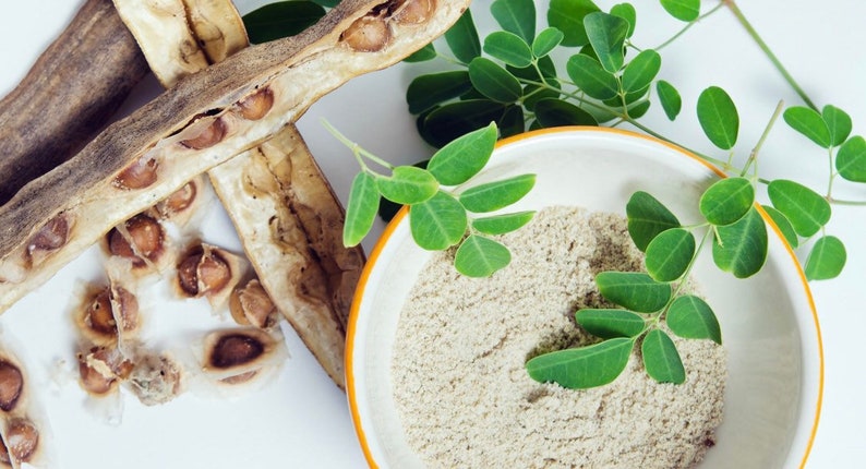 Moringa Capsules 62 Count - Etsy