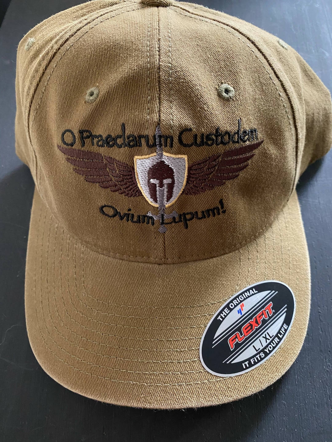 Diplomatic Security Iraq "o Praeclarum" Hat Flex Fit S/M Loden With ...