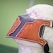 PATTERN LEATHER MASK Crn - Etsy