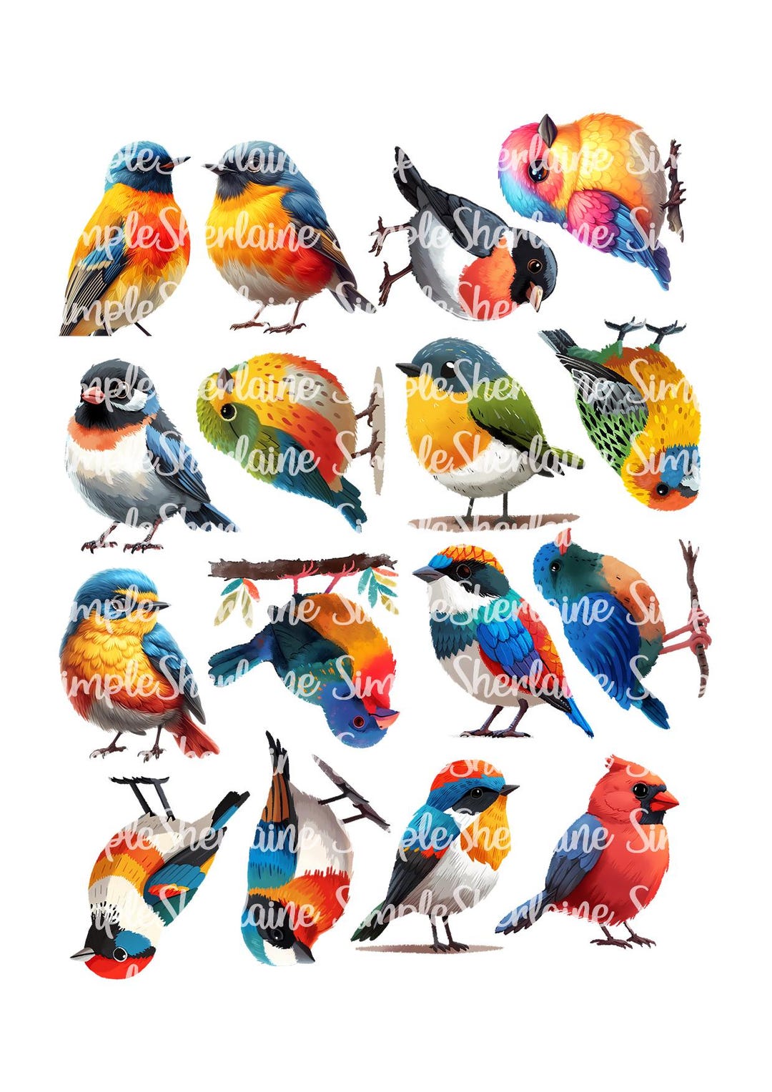 Colorful Birds 3D Lifelike Printable Digital Copy - Etsy