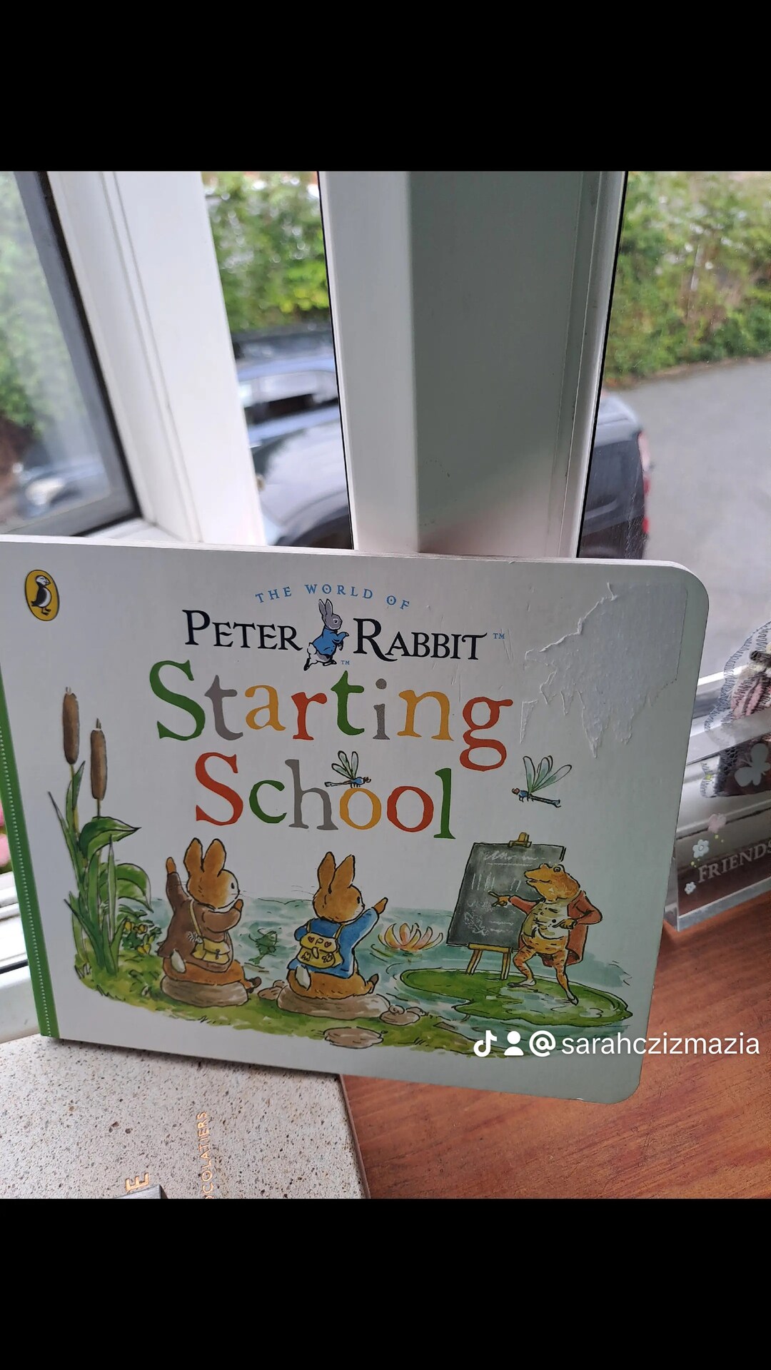 Peter Rabbit Starting School - Etsy