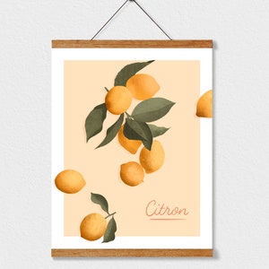 Set of 2 Citrus Botanical Prints, Fruit Art Print Gallery Wall Set ...