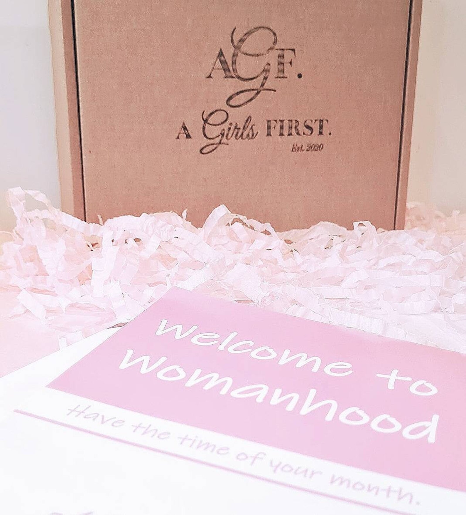 A Girls First Period Kit First Period Gift Menstrual Cycle | Etsy