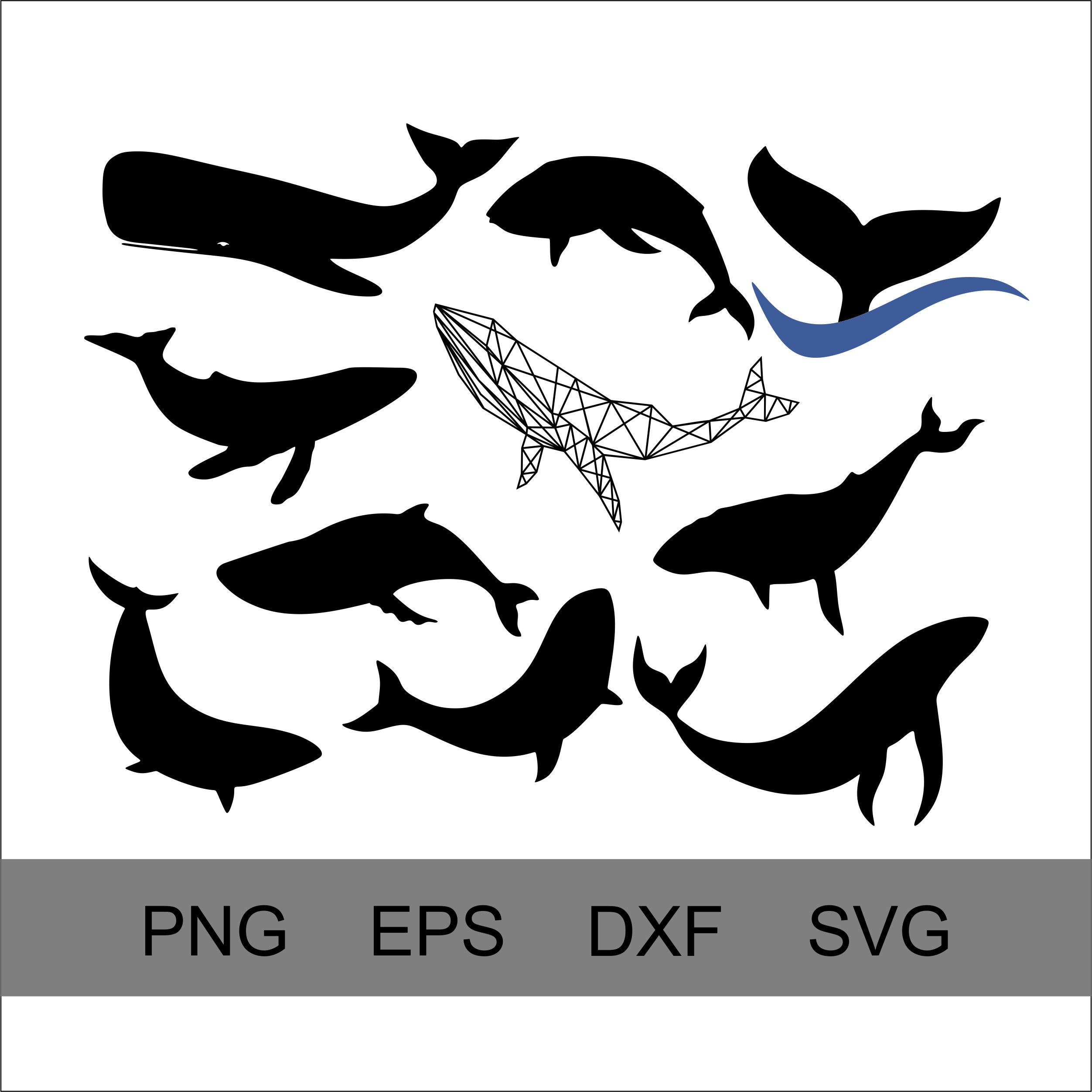 Whale svg dxf png eps. Whale bundle cutting files | Etsy