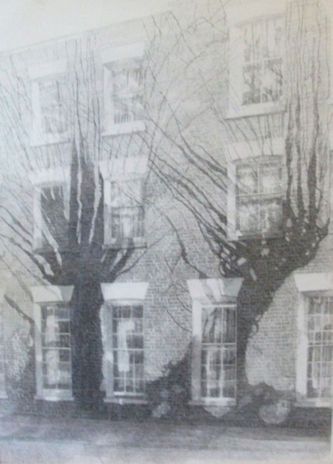 TREE SHADOWS/ Pen and Ink/drawing/draughtmanship/original/fine Art/gift ...