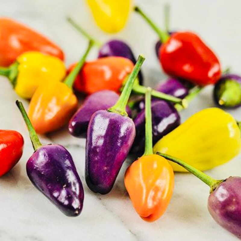 Chinese Bells - Etsy