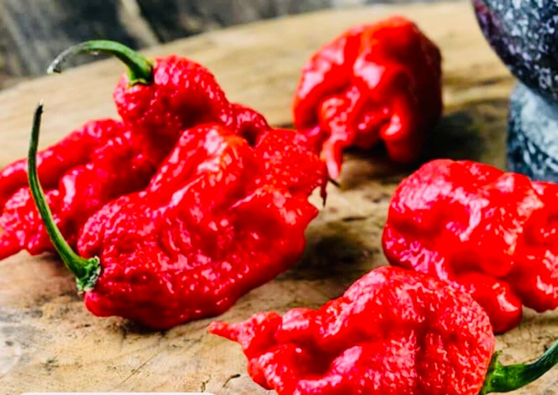 Red Carolina Reaper Pepper Seeds 10 - Etsy