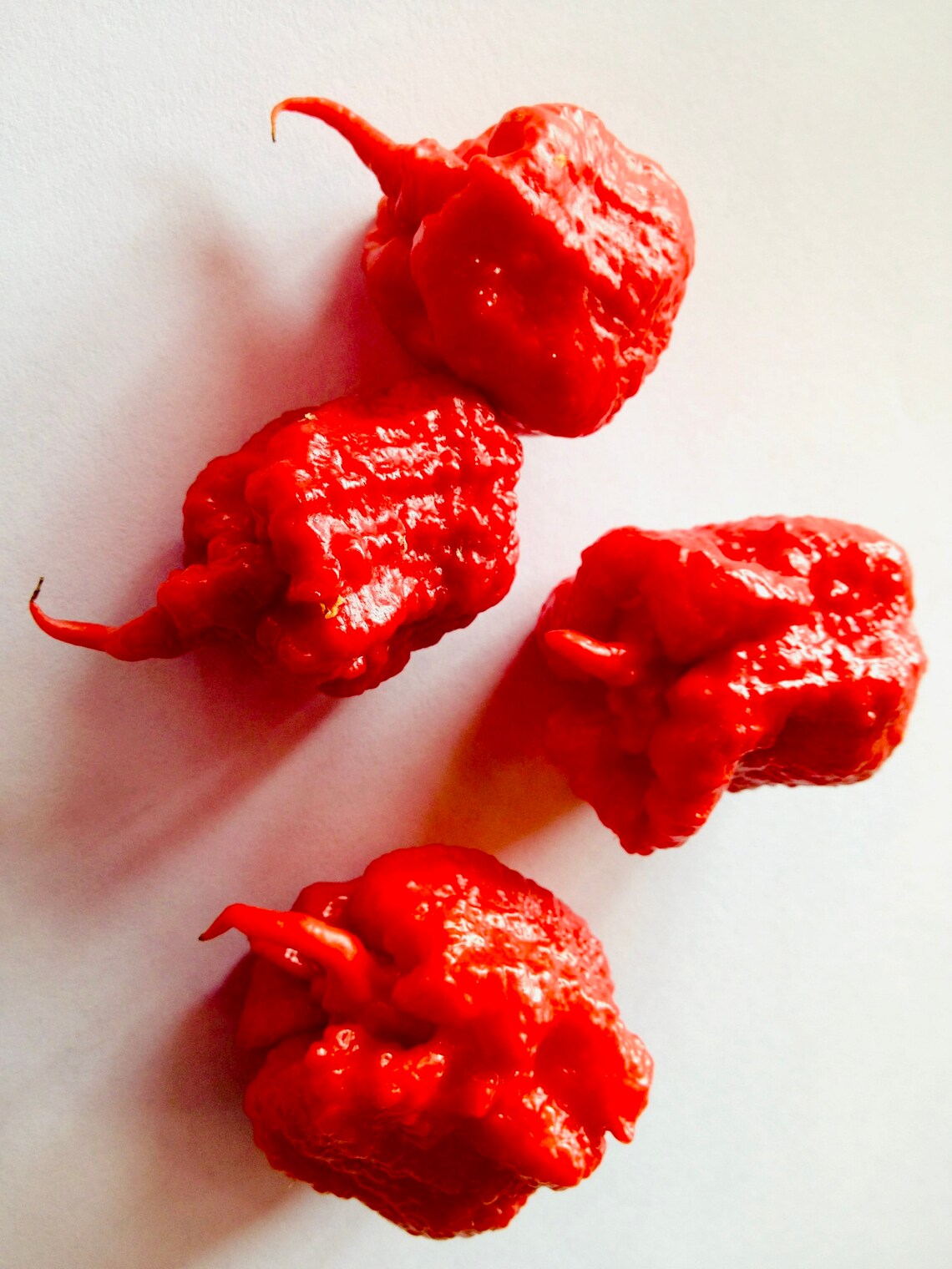 Red Carolina Reaper Pepper Seeds 10 - Etsy
