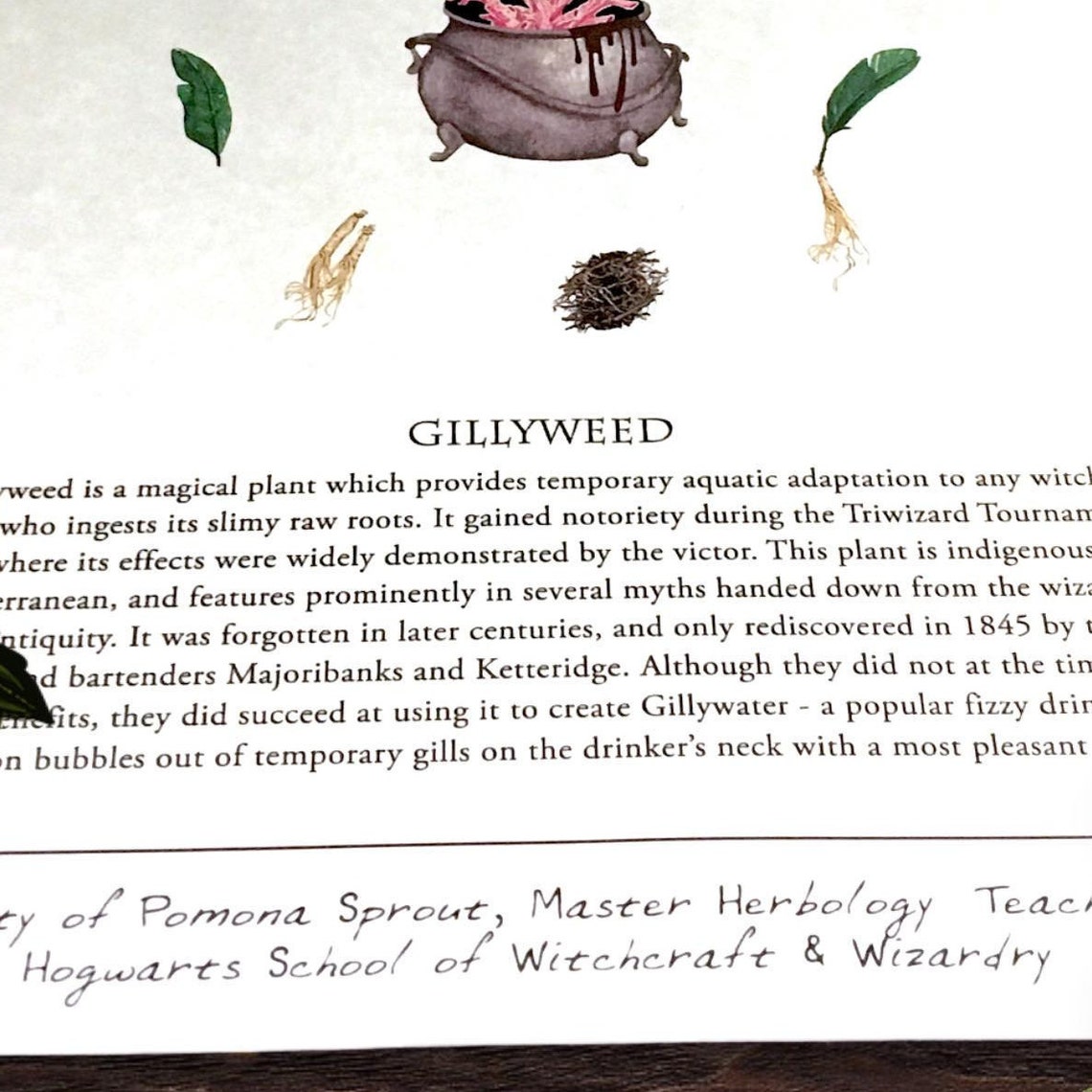 Gillyweed Print 8.5x11 Inches Printed Parchment | Etsy