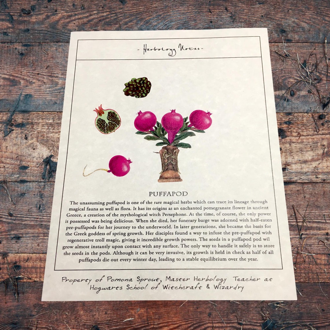Puffapod Harry Pottery Print Herbology Printable Watercolor | Etsy