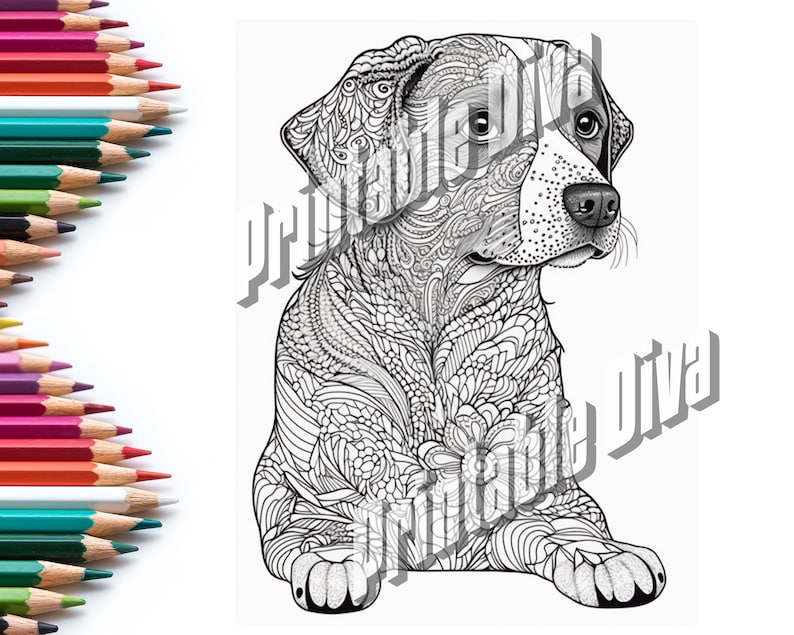 15 Dogs to Color / Adult Coloring Page / Instant Download / Intricate ...