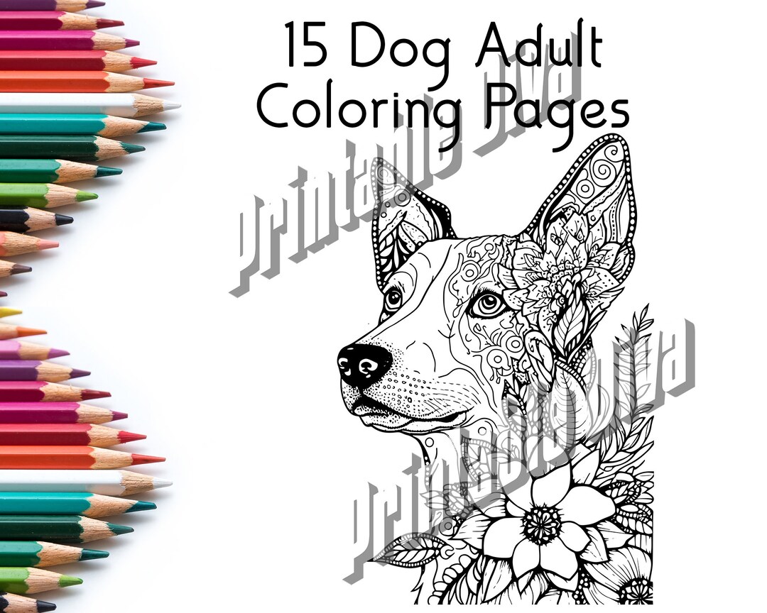 15 Dogs to Color / Adult Coloring Page / Instant Download / Intricate ...