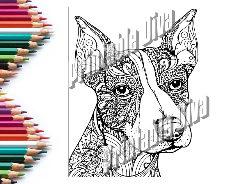 15 Dogs to Color / Adult Coloring Page / Instant Download / Intricate ...