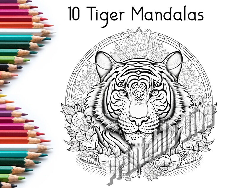 Tiger Mandalas for Coloring / Adult Coloring Pages / Tigers to Color ...