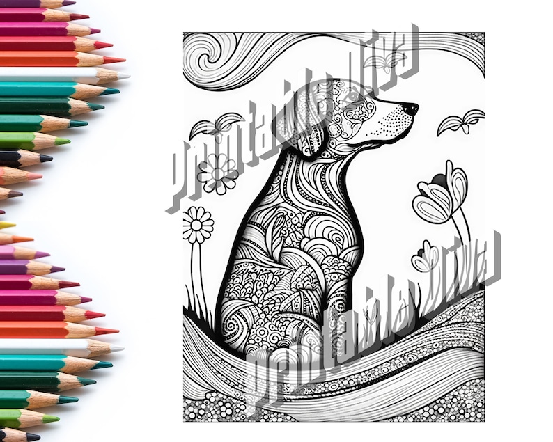 15 Dogs to Color / Adult Coloring Page / Instant Download / Intricate ...