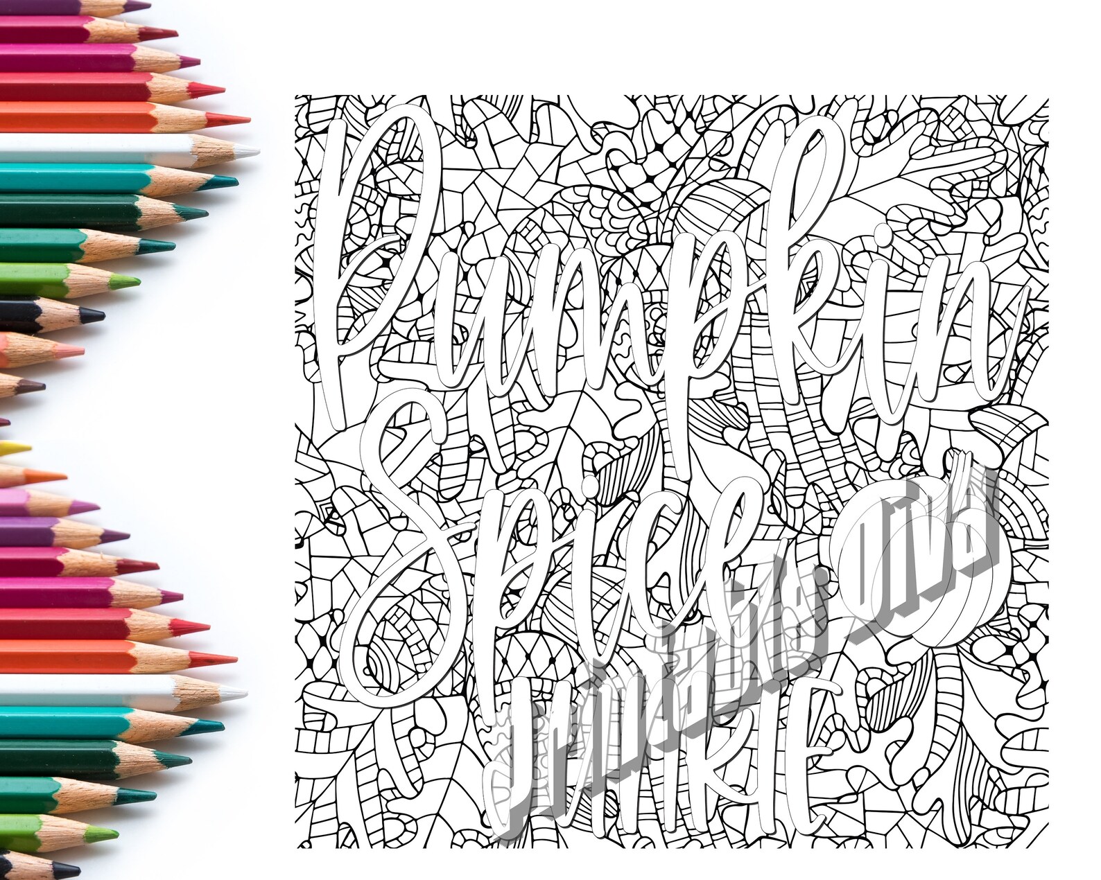5 Pumpkin Spice Coloring Pages / Fall Coloring Pages / Adult - Etsy