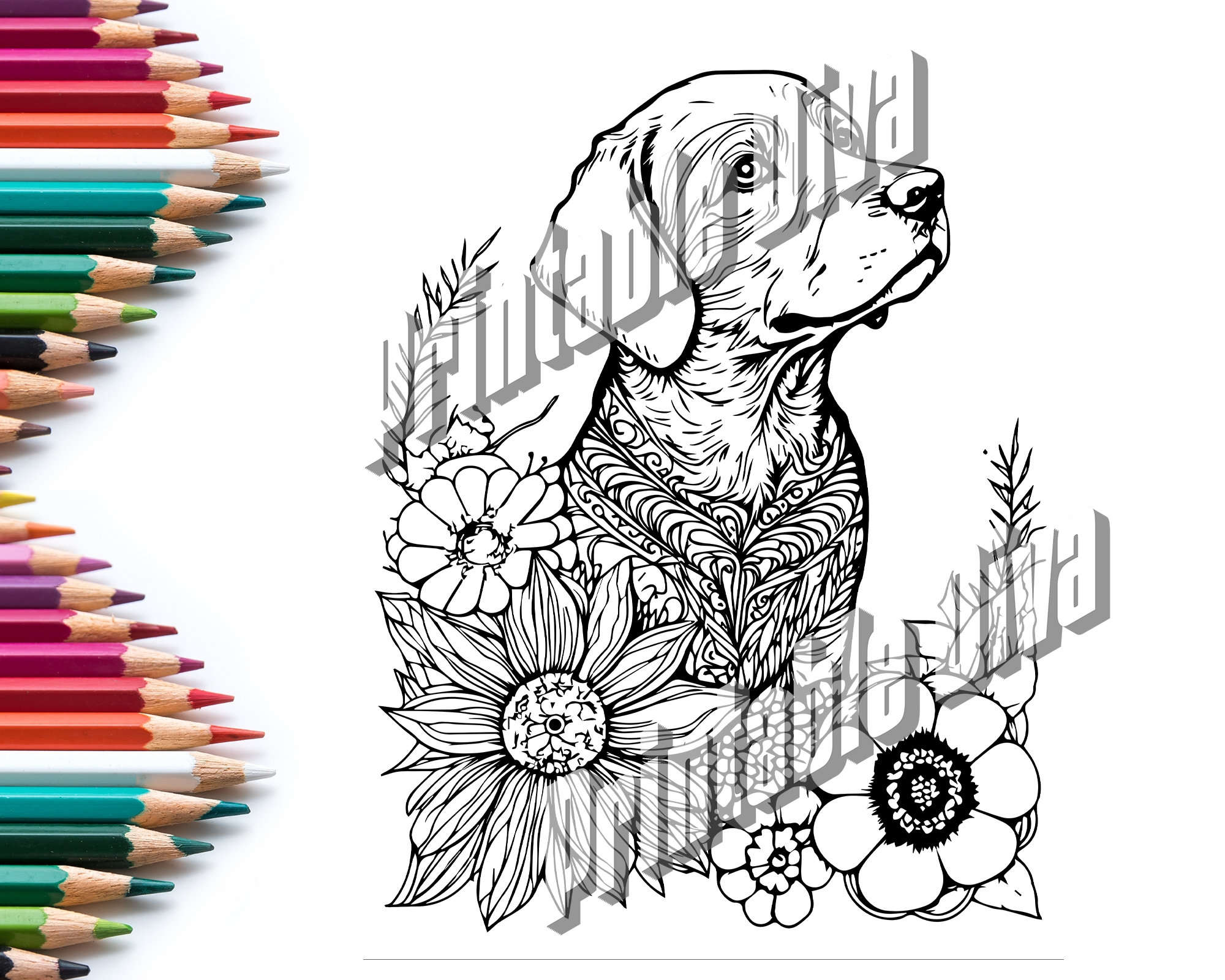 15 Dogs to Color / Adult Coloring Page / Instant Download / Intricate ...