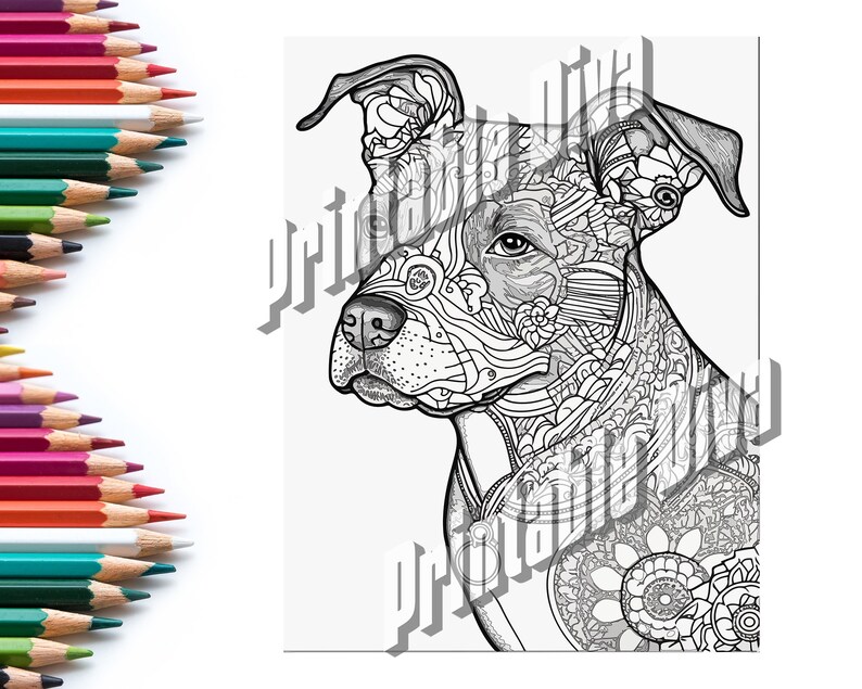 15 Dogs to Color / Adult Coloring Page / Instant Download / Intricate ...