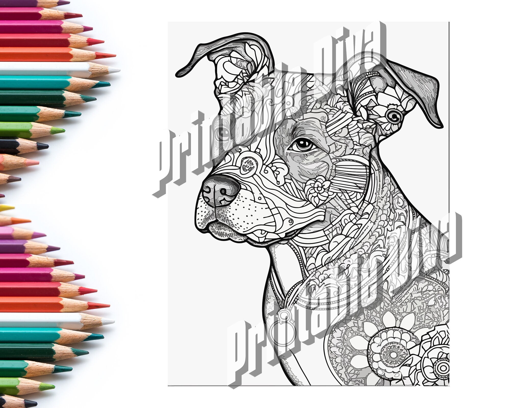 15 Dogs to Color / Adult Coloring Page / Instant Download / Intricate ...