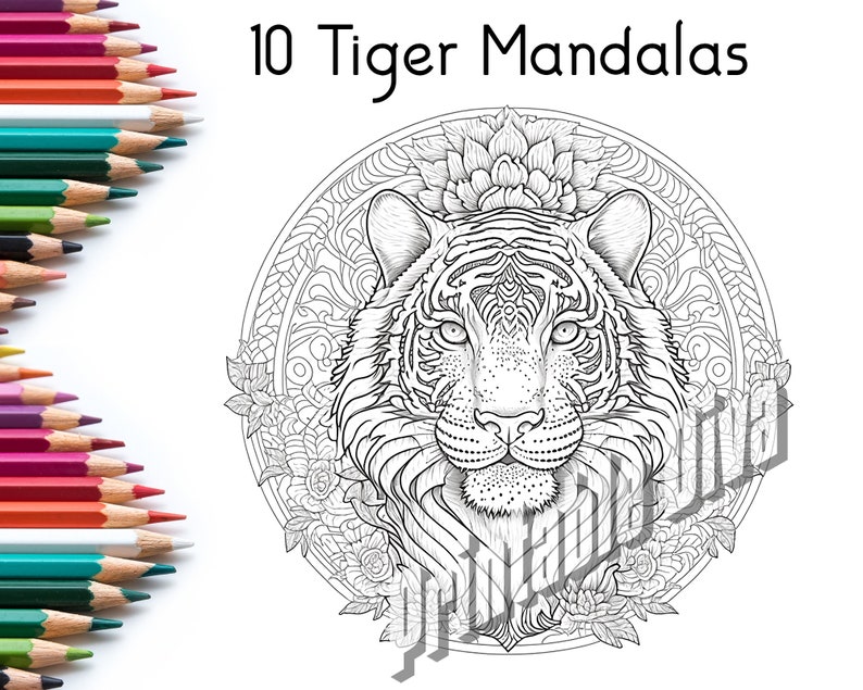 Tiger Mandalas for Coloring / Adult Coloring Pages / Tigers to Color ...