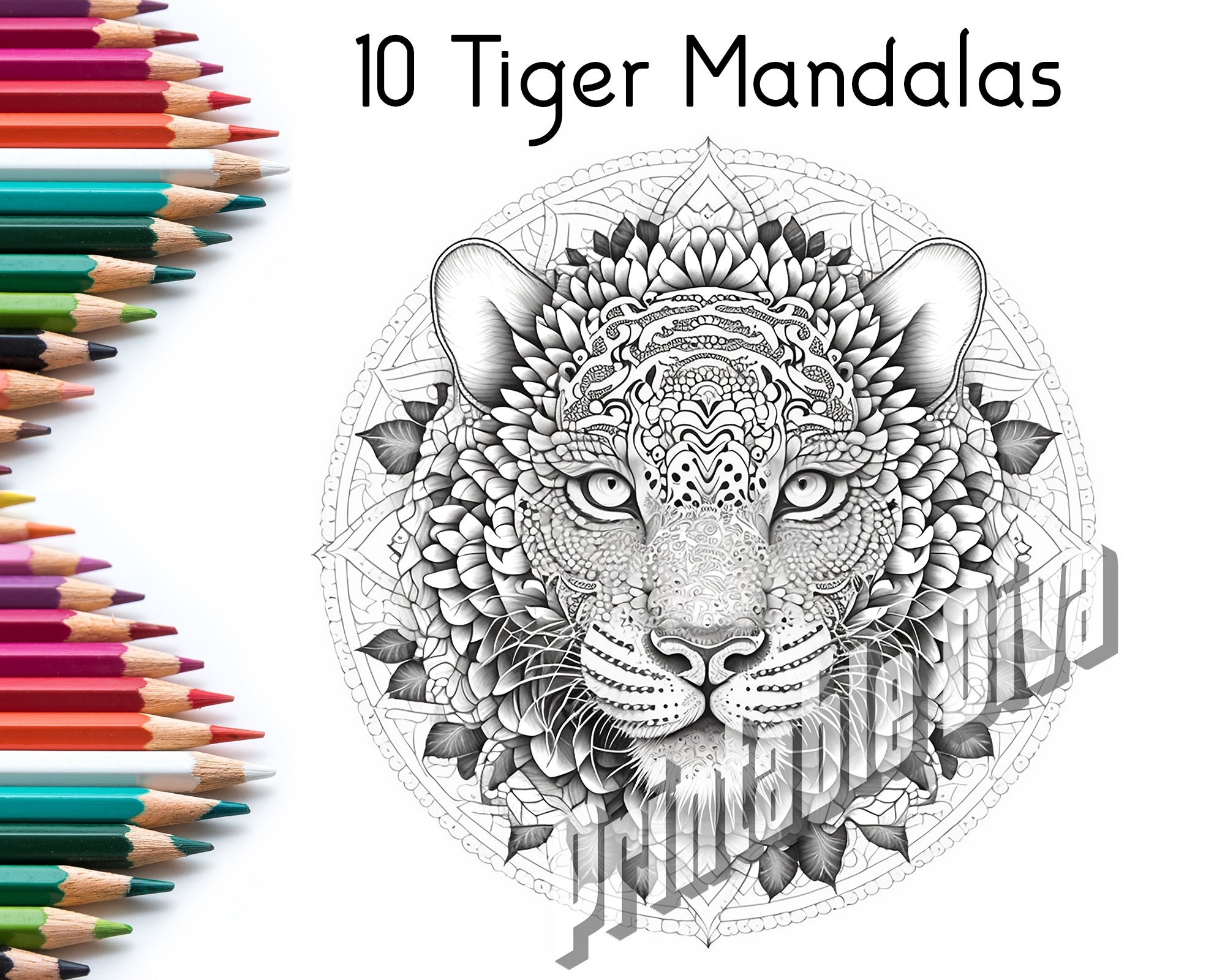 Tiger Mandalas for Coloring / Adult Coloring Pages / Tigers to Color ...