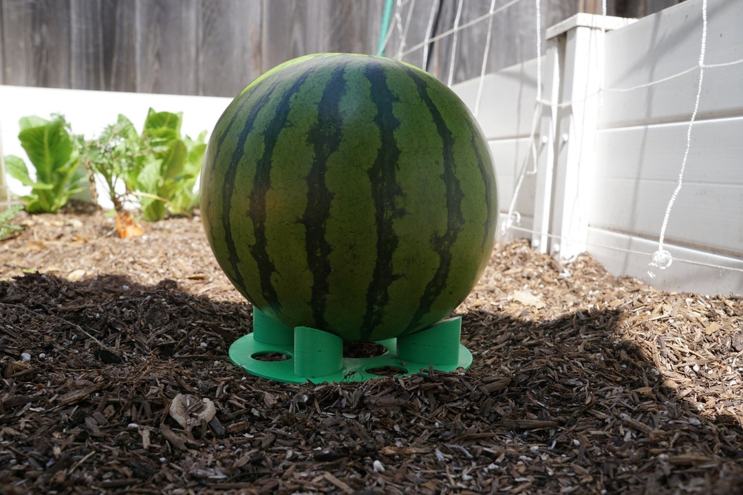 Melon/squash Cradle, Plant Support - Etsy