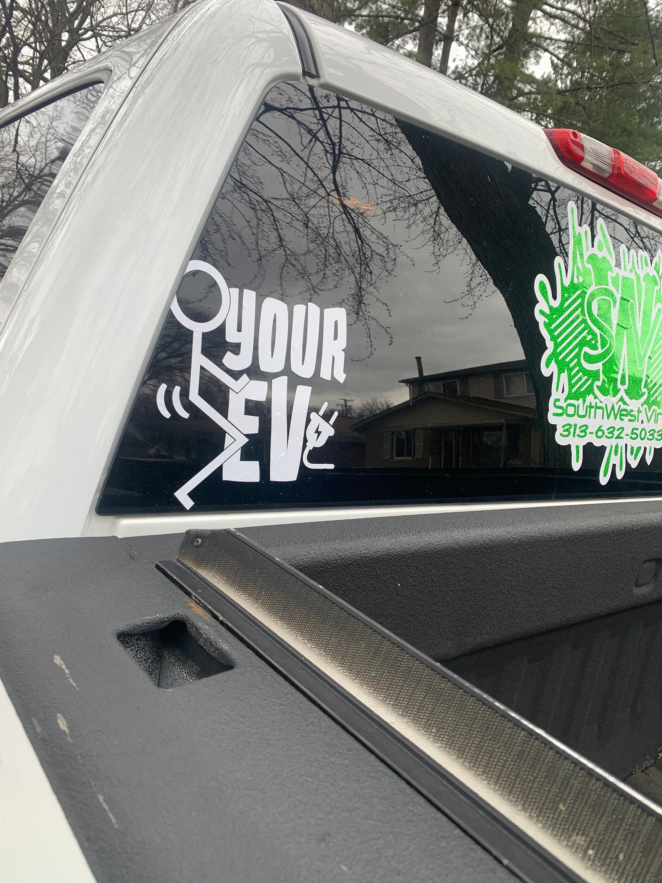 Custom Stickerfuck Your EV - Etsy