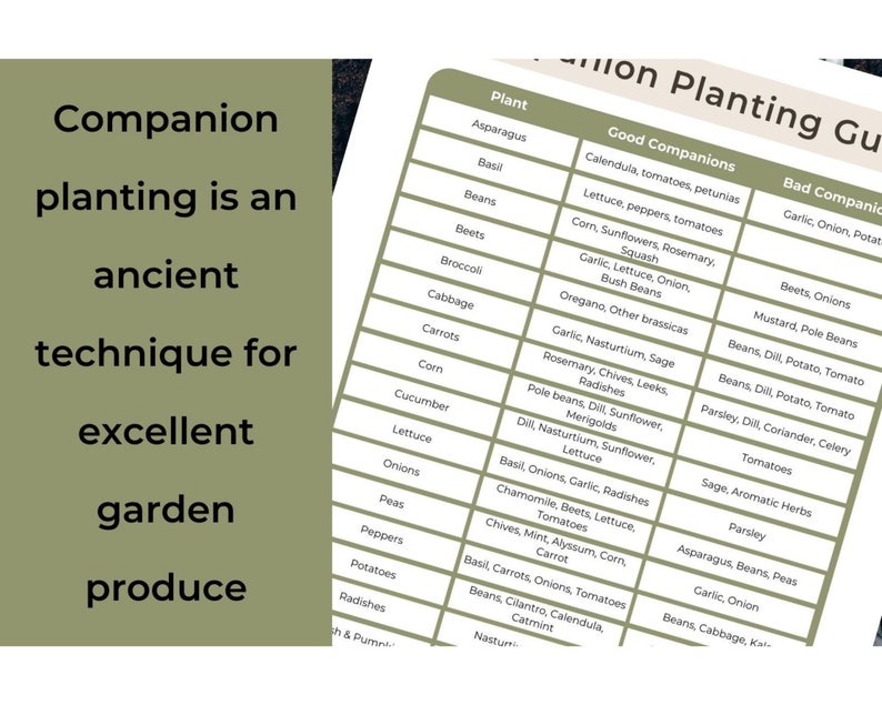 Companion Planting Guide | Garden Planner(pdf Download) - Etsy