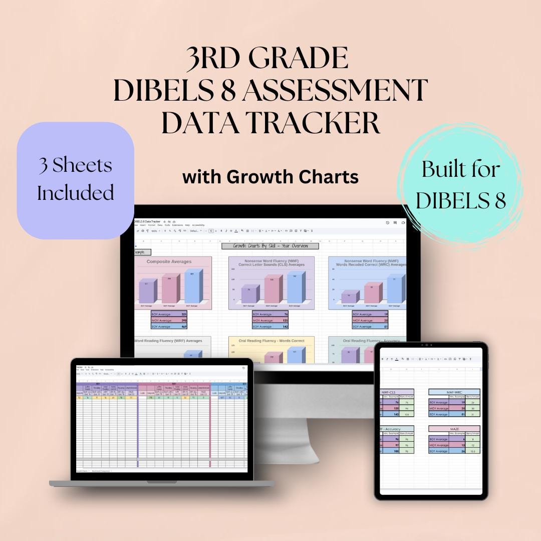 3rd Grade DIBELS 8 Class Assessment Tracker - Etsy