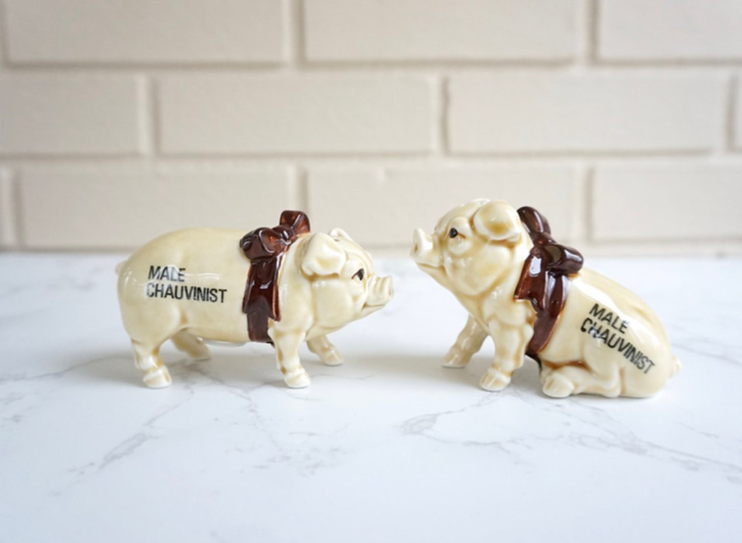 Galentine's Day Male Chauvinist Pig Salt and Pepper Shakers - Etsy