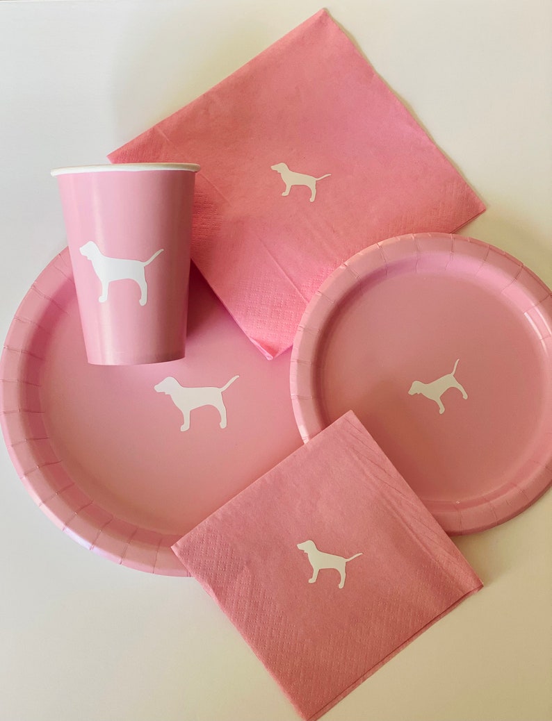 VS Pink Party Decoration Supplies Pink Birthday Party Set - Etsy