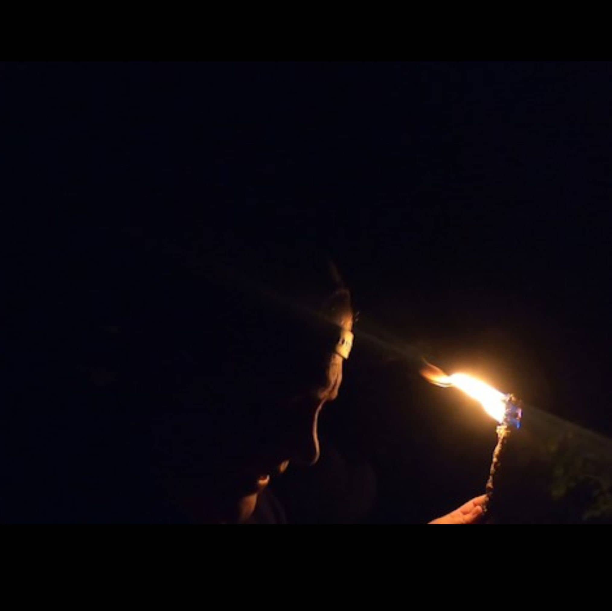 Mullein Torch / Organic Wild Lavender Witches Candle/ Herbal - Etsy